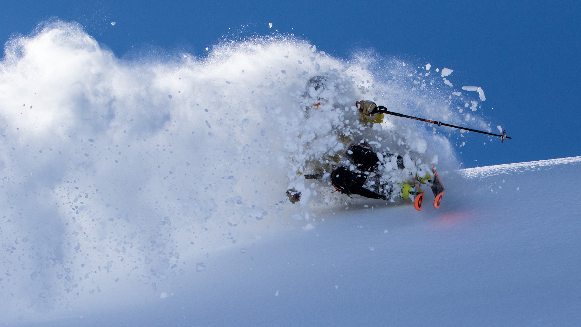 Blizzard Brand Profile - Realskiers